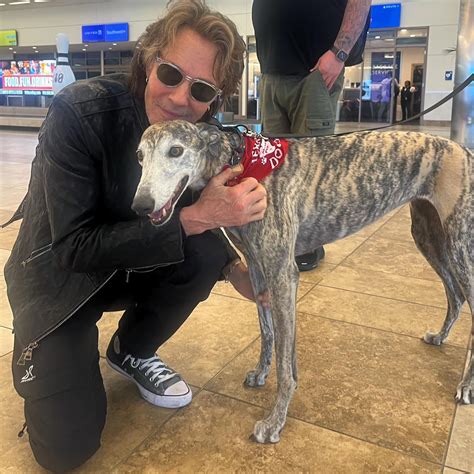 Image result for Rick Springfield Voodoo House