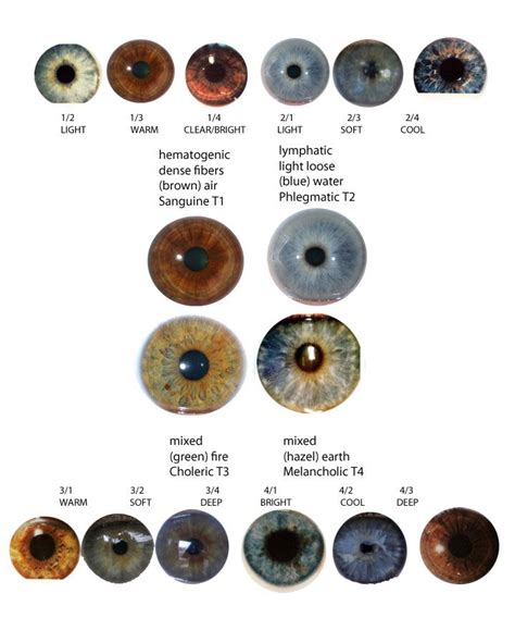 Image result for Eye Pattern Types