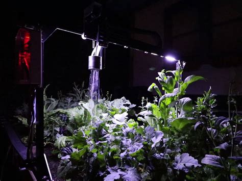 Image result for DB Legends Farming Bot