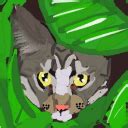 Image result for Luno Bot Script