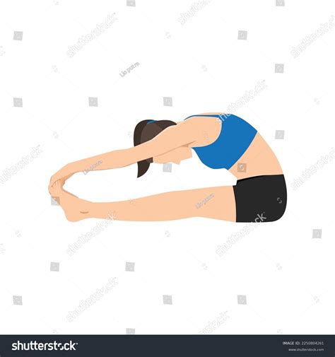 Image result for Toe Touch Hamstring Stretch