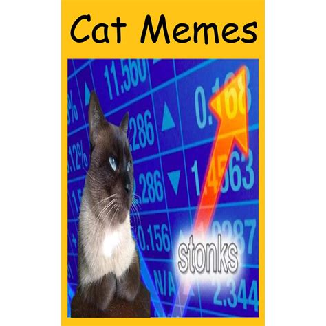 Image result for Random Cat Memes Clean