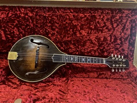 Image result for 10 String Mandolin