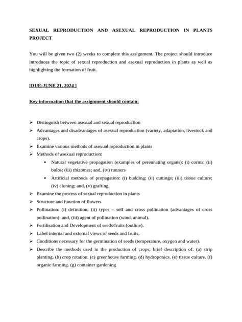 Image result for Class 10 Project Evaluation