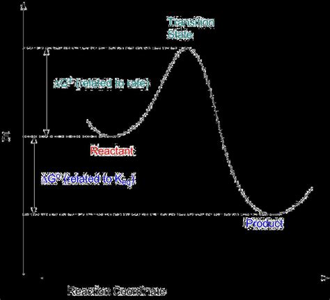 Image result for Exothermic Reaction Energy Graph