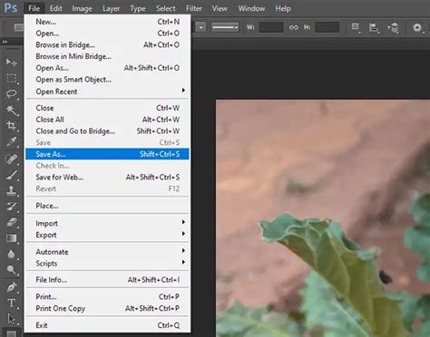 Image result for How to Open WebP File in Photoshop