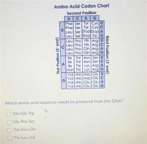 Image result for Amino Acid Codon Chart Tutorial