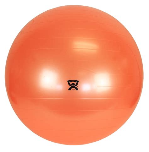 Image result for Inflatable Exercise Ball
