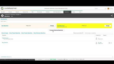 Image result for codeBeamer Filter