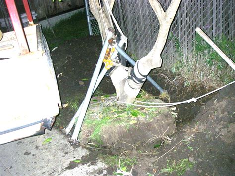 Image result for Engine Lift On a Tree