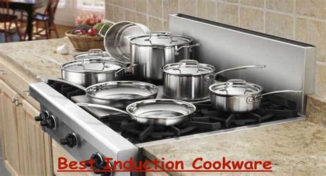 Image result for Induction Cookware Reviews