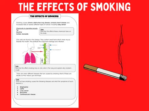Image result for Science Project On Smoking