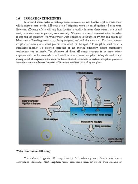 Irrigation Efficiencies | PDF | Irrigation | Soil