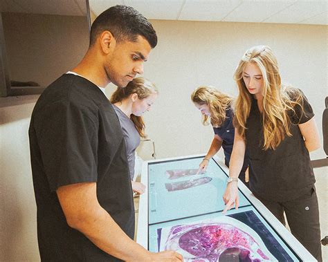 Image result for Biomedical Science Modules