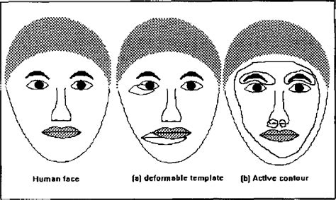 Image result for Facial Feature Extraction in MATLAB