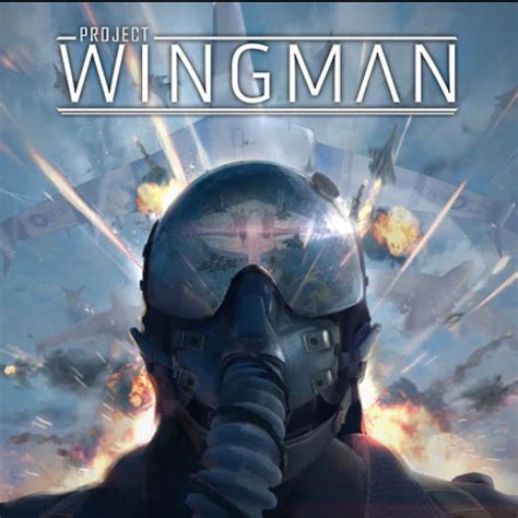 Image result for Project Wingman Campaign