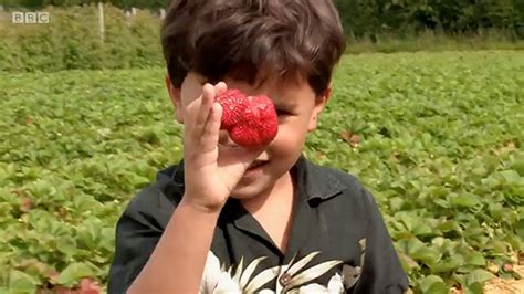 Image result for CBeebies Ident Farm Channel