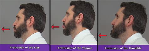 Image result for Excursion Anatomy