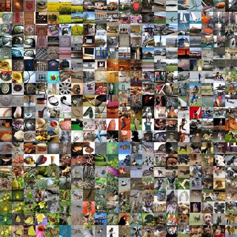 Image result for Image Net Dataset Image Examples