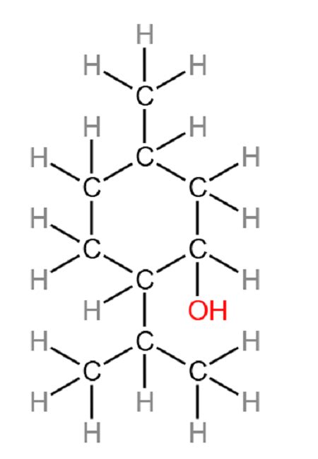 Image result for Menthol Skeletal Structure