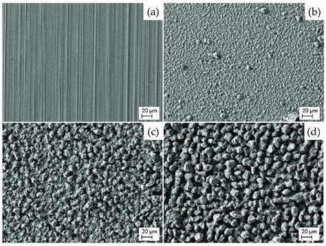 Image result for Electron Microscope Magnification