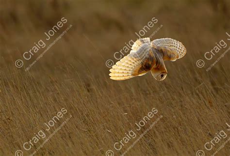 Image result for Final Approach 2.4L Pgua