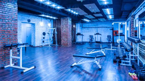 Image result for Surfing Exercise Program