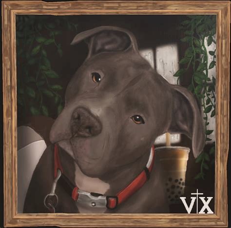 Image result for Cat Playing Rust