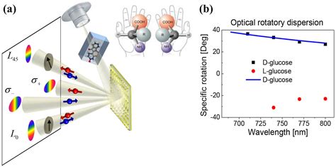 Image result for Geometric Phase Metasurface
