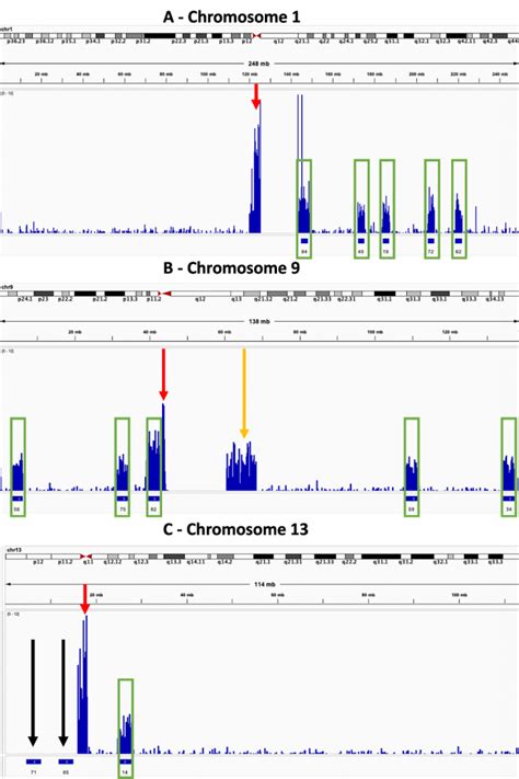 Image result for Ont Adaptive Sampling
