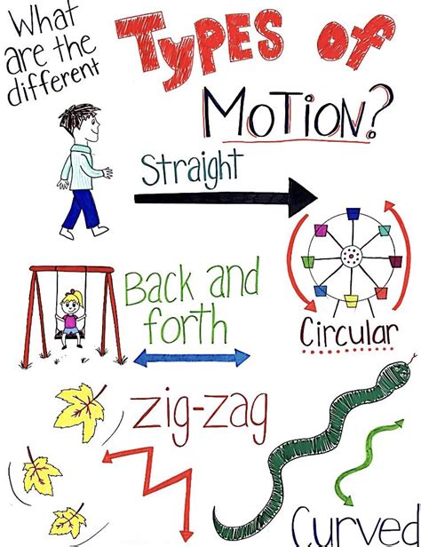 Image result for Flowchart On Types of Motion
