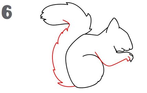 Image result for Draw a Squirrel Tutorial