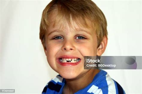 Image result for Toothless Cut Out