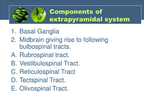 Image result for Extrapyramidal System Ppt