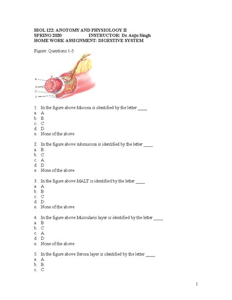 Image result for Homework Digestive System