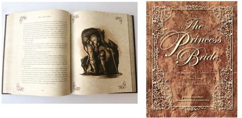 Image result for The Princess Bride Mini Book Cover