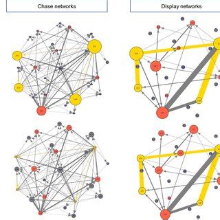 Image result for Community Network Frame History