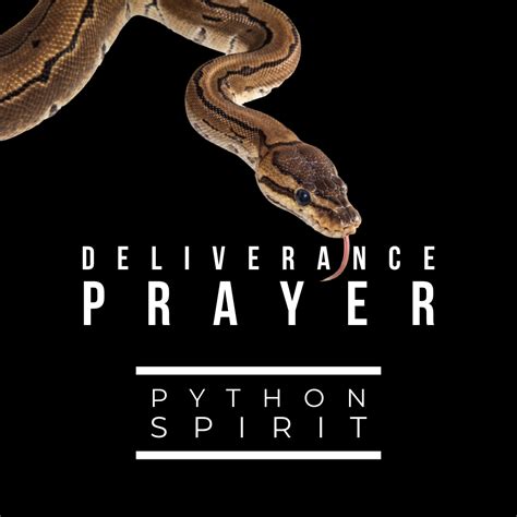 Image result for Python Spirit Deliverance