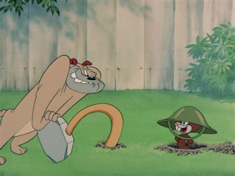 Image result for Garden Gopher