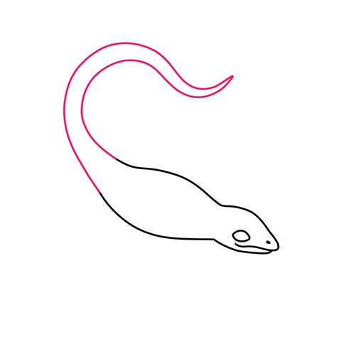 Image result for Lizard Man Drawing Simple