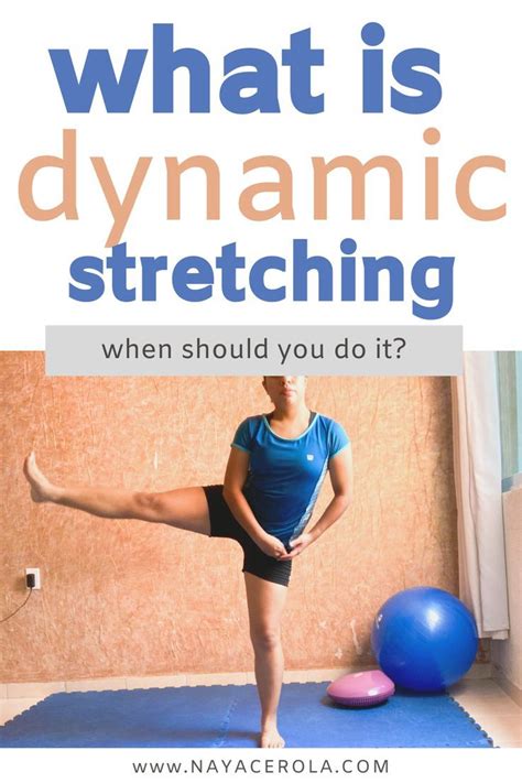 Image result for Define Dynamic Stretching