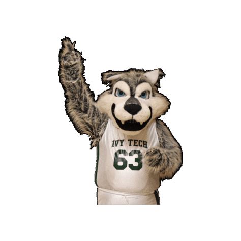 Image result for Alpha Course GIF