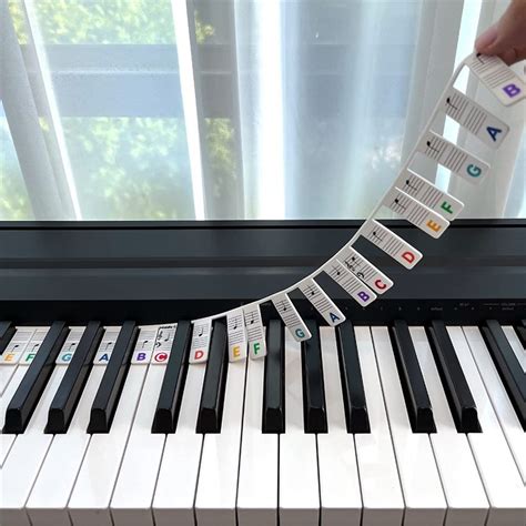 Removable Piano Keyboard Note Labels - USAMERICA SHOP