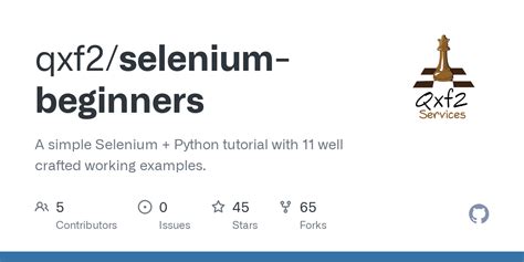 Image result for Simple Selenium Project