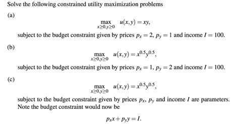 Image result for Utility Maximization Problem