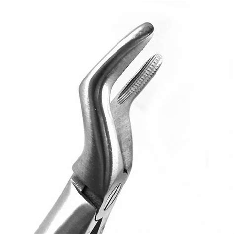 Image result for Tooth Extraction Forcep PHY