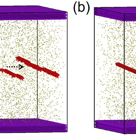 Image result for Dislocation Mutagenesis