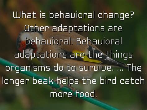 Image result for Behavior Adaptation