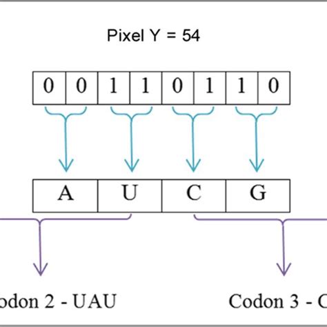 Image result for Encoding Sample