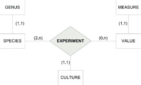 Image result for Database Entities